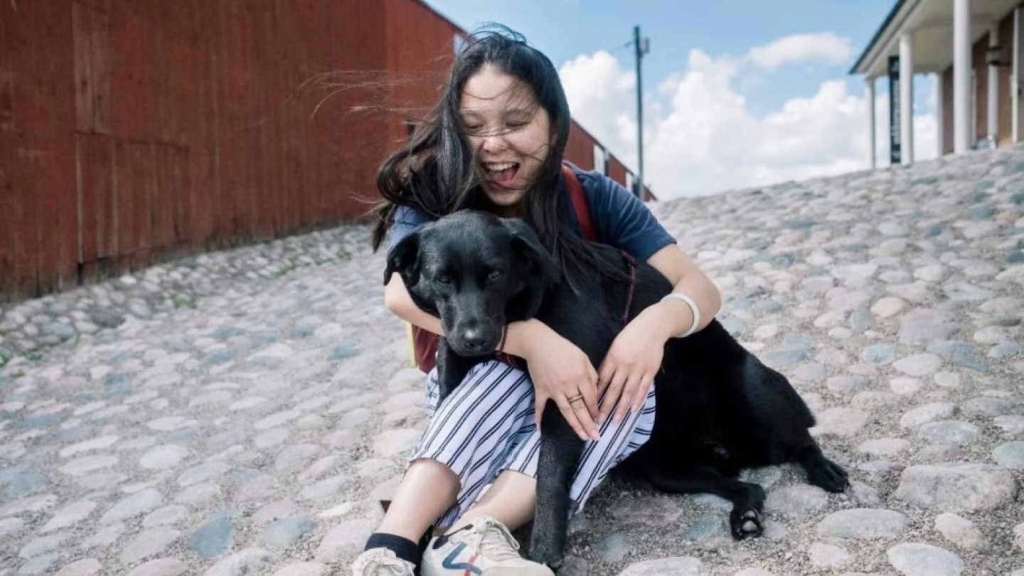 JYU alumni Qingyang Li: Guiding international talents to a bright future in Finland | University ...